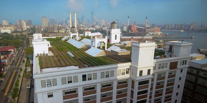 法国文化台 Arte ：Sur les toits des villes – New York – 世纪新闻 C21 News